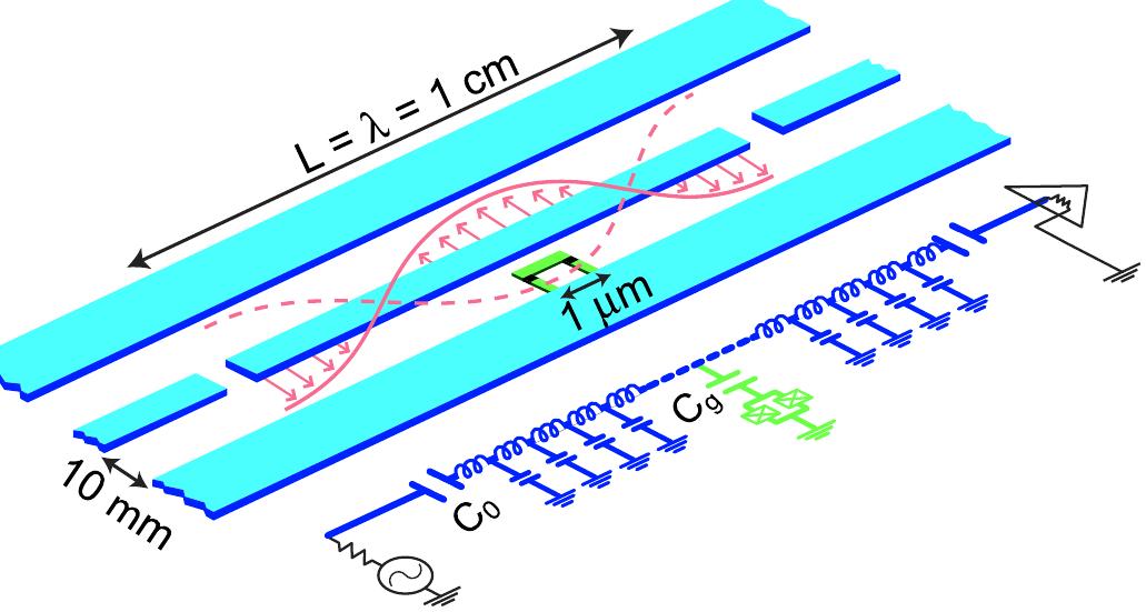 (color online). schematic layout and equivalent lumped