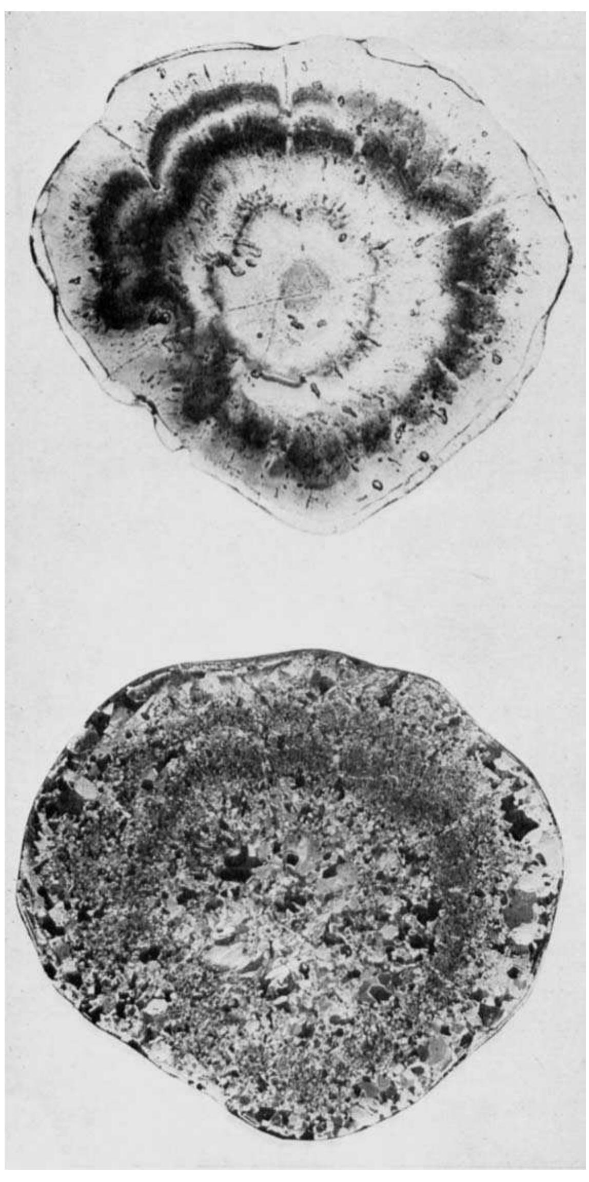 “igure 4. (a) (top) air bubble structure of the hailstone