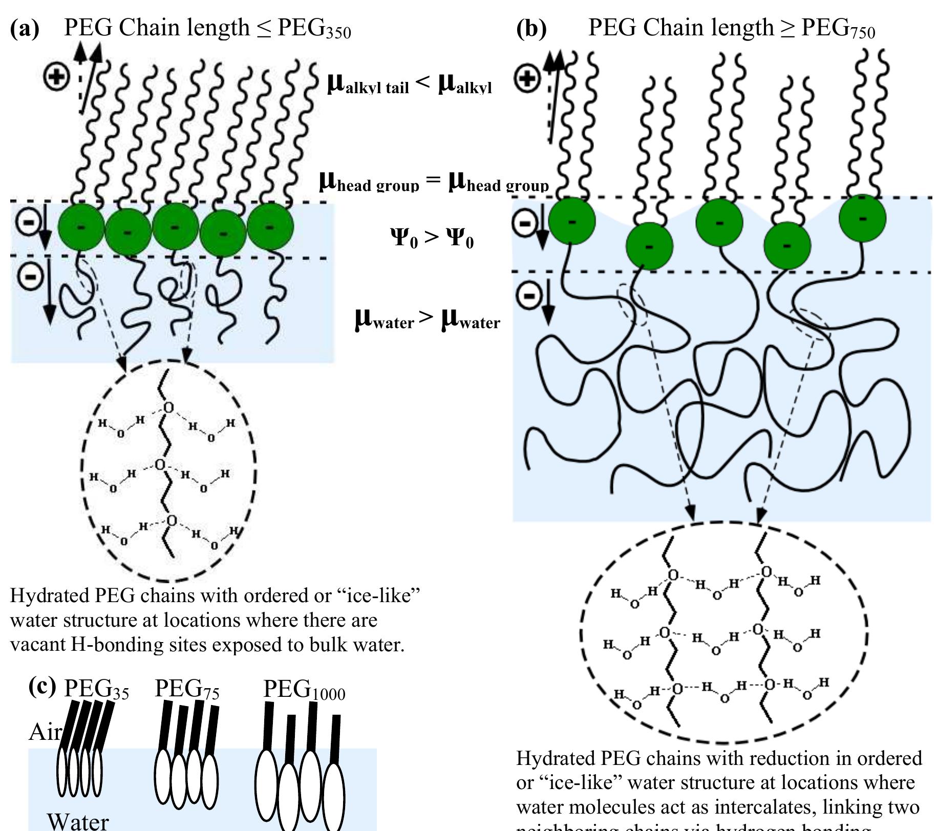 4. schematic of a possible molecular model to explain the