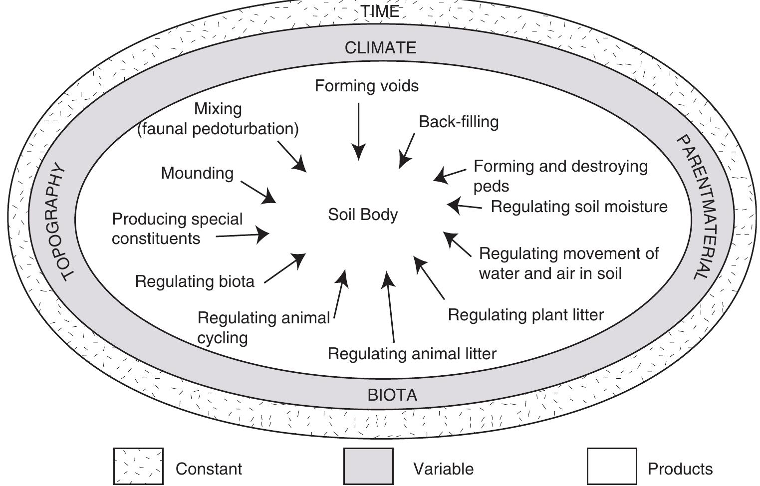 4 soil-forming factors (modified from hole, 1981; hasiotis,