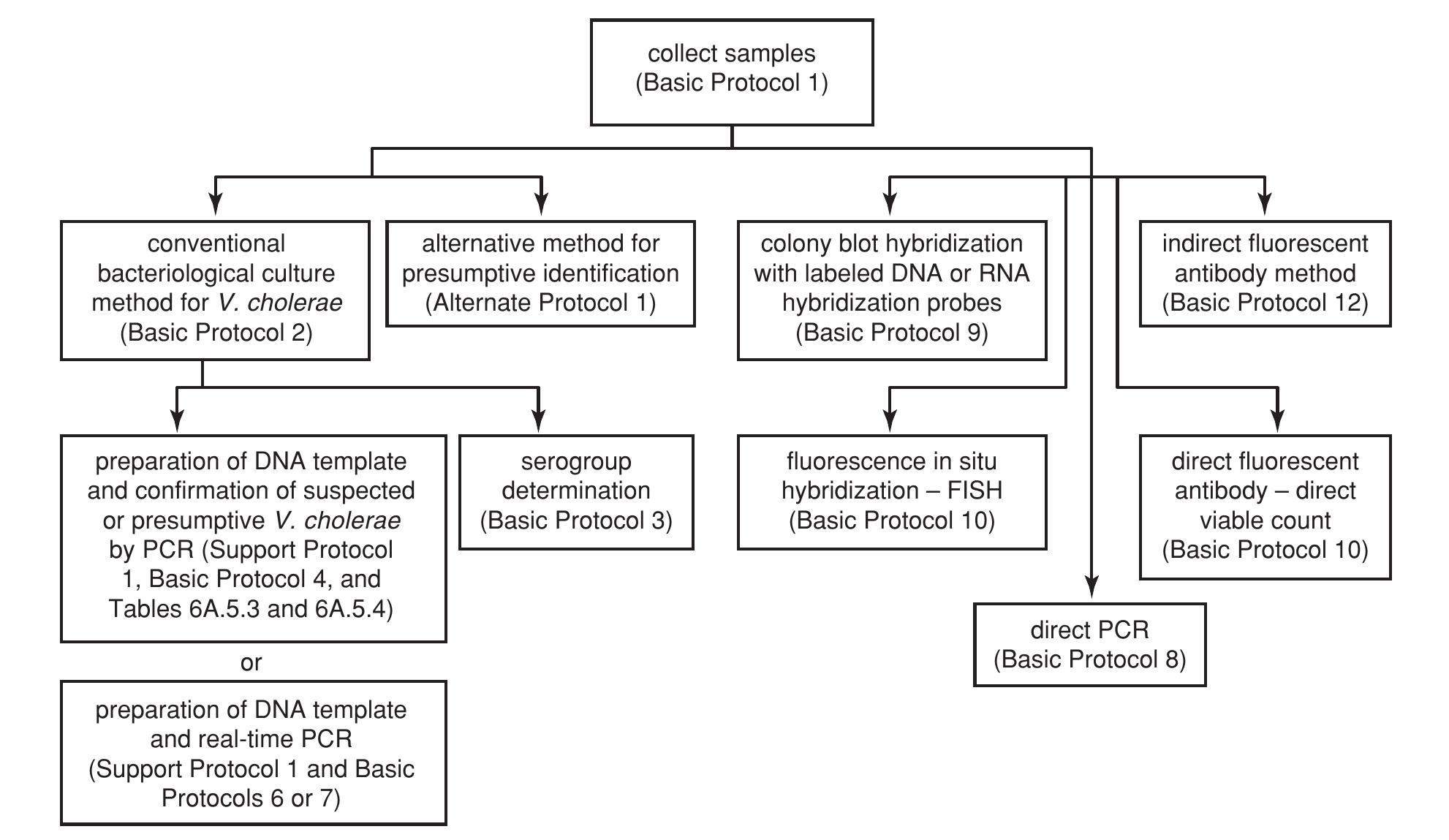 A.5.1 flowchart of methods (protocols) used to detect and/or