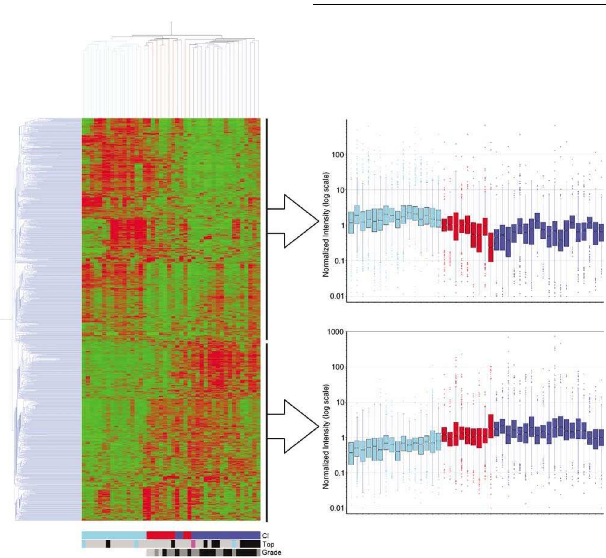 Overall expression profile of normal gastric mucosa, egc and