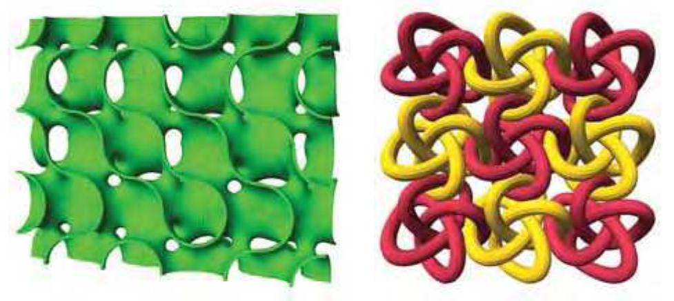(a) volution-wall, (b) knot-wall. the elements shown in