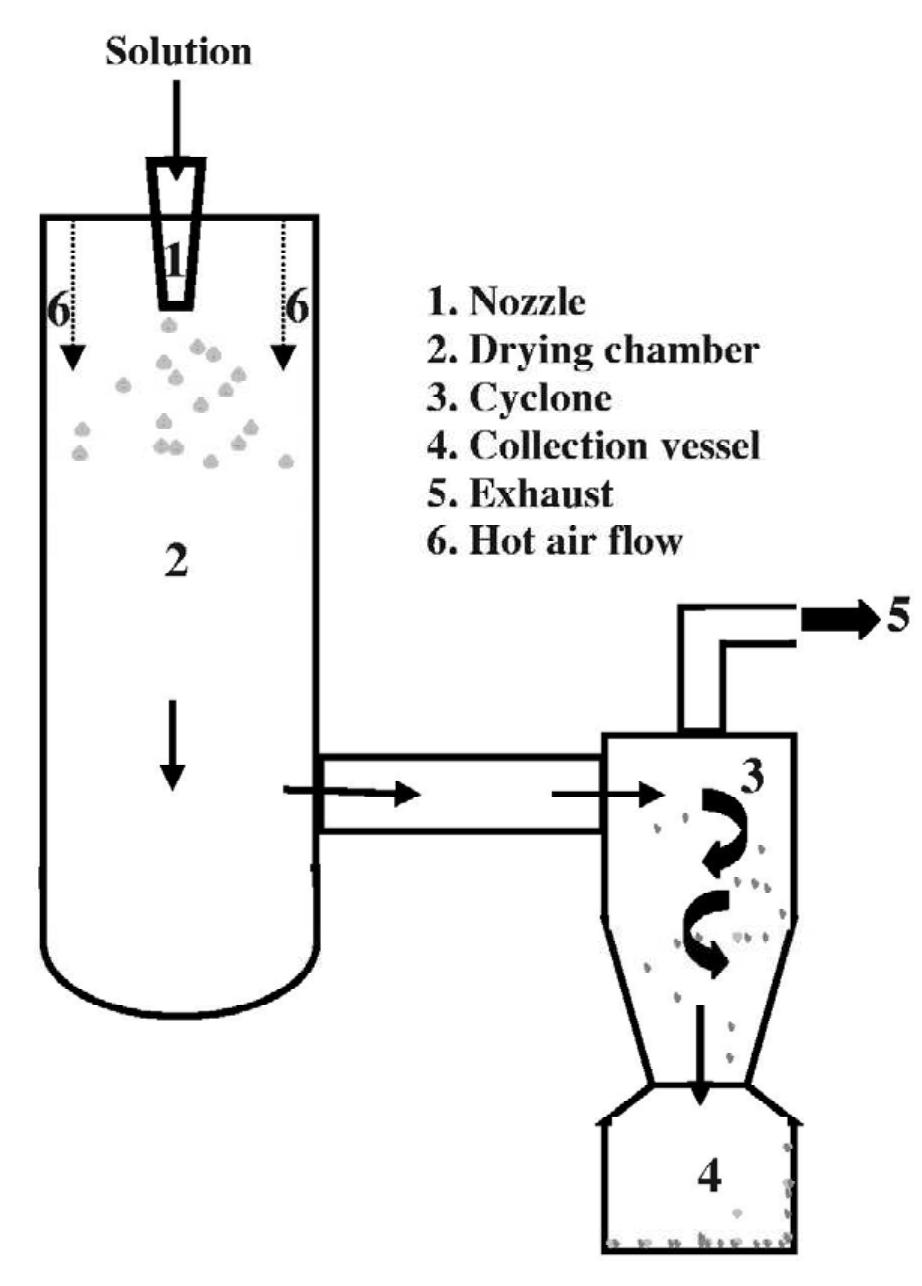 Schematic diagram of the spray drying process. reported