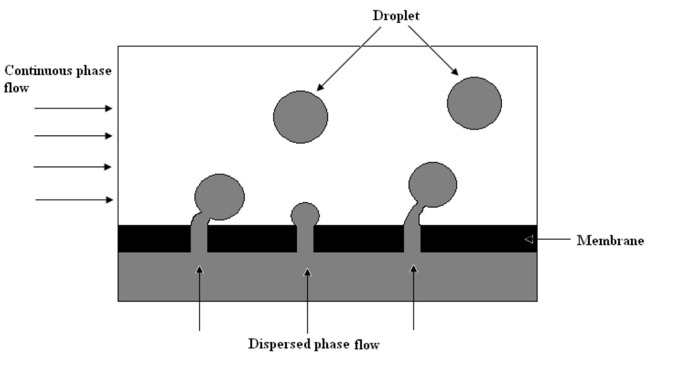 (PDF) Oil and Water Emulsions