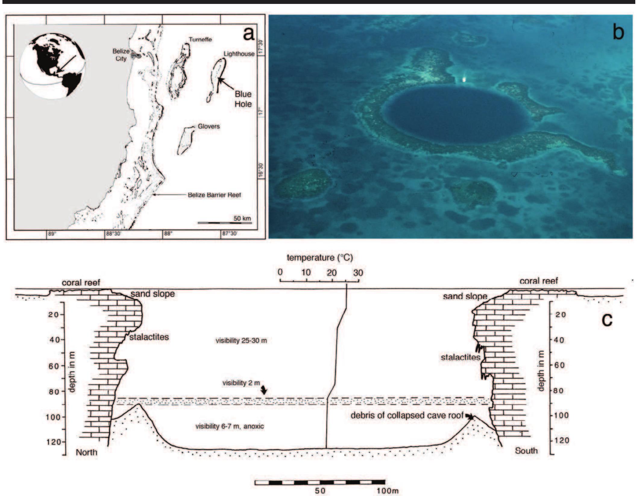 (a) map of location of lighthouse reef in belize barrier and