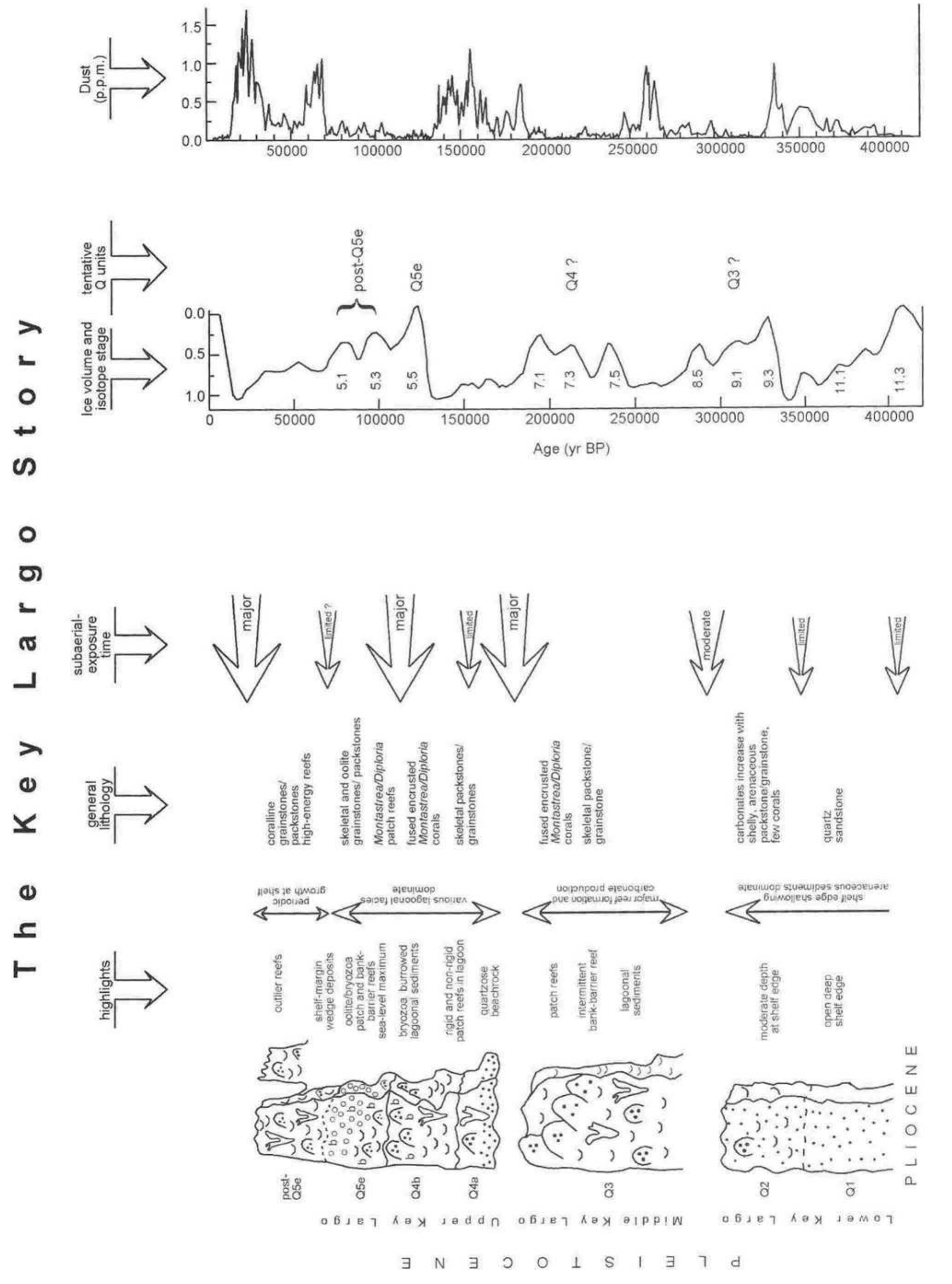 Figure 14 - Key Largo Limestone revisited: Pleistocene