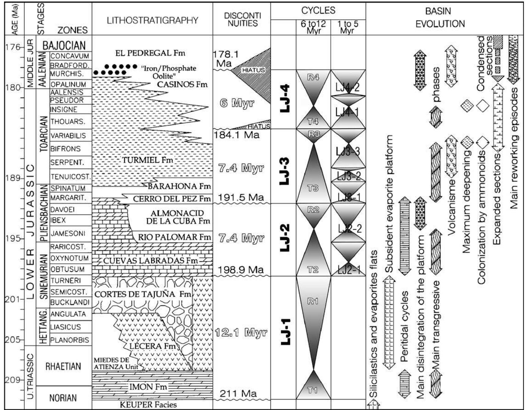 Cycles of the upper triassic and lower jurassic deposits in