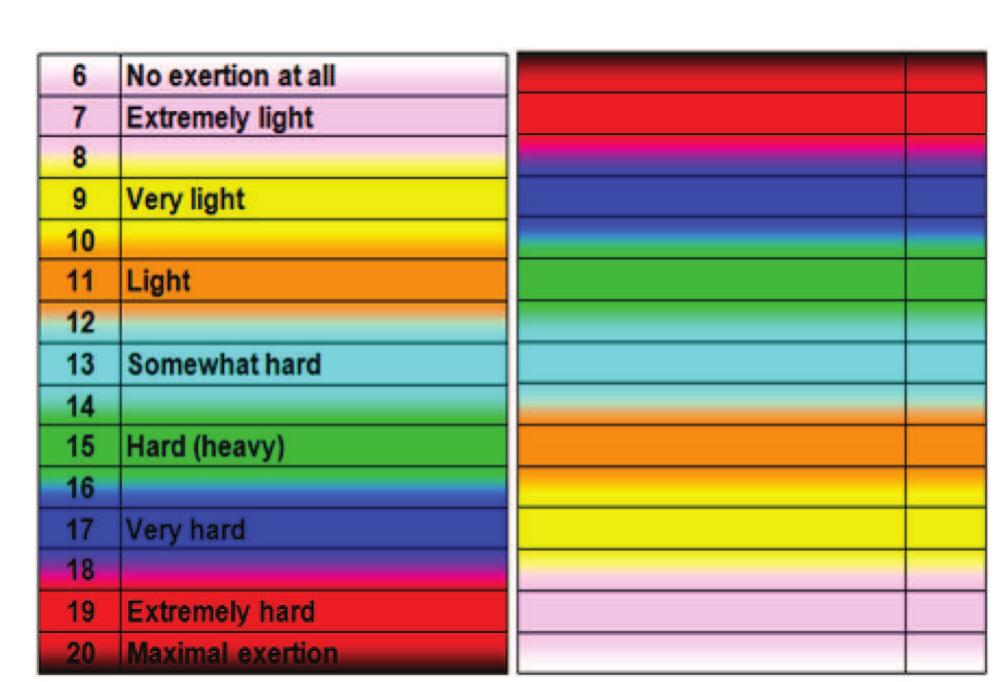 Fic. 1. color scale of perceived exertion (rpe-color scale)