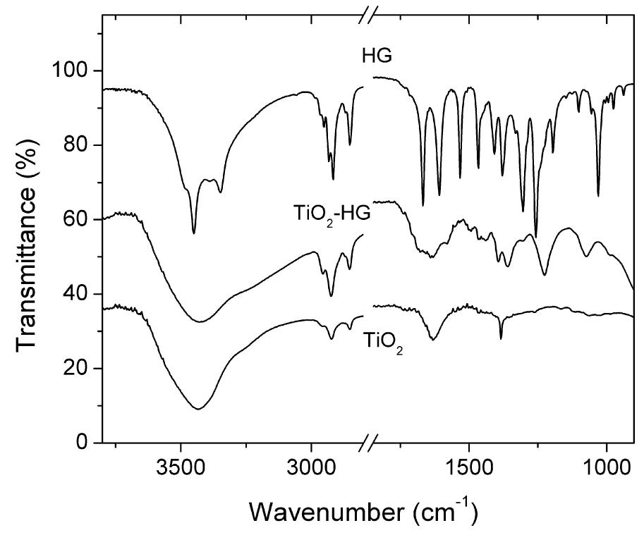 Ftir spectra of the tio, nanoparticles, hexyl gallate (hg)