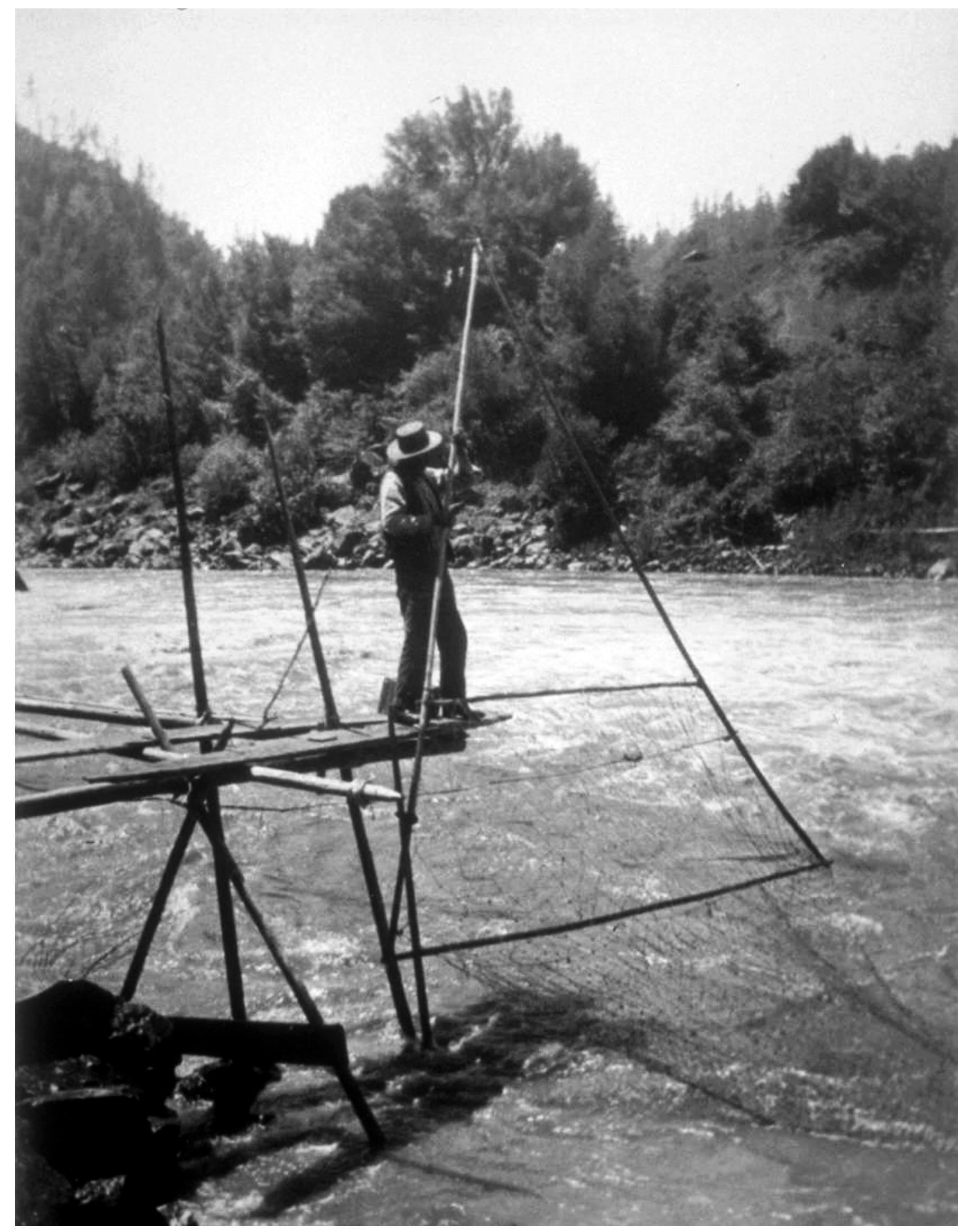 Courtesy of the phoebe a. hearst museum of anthropology and