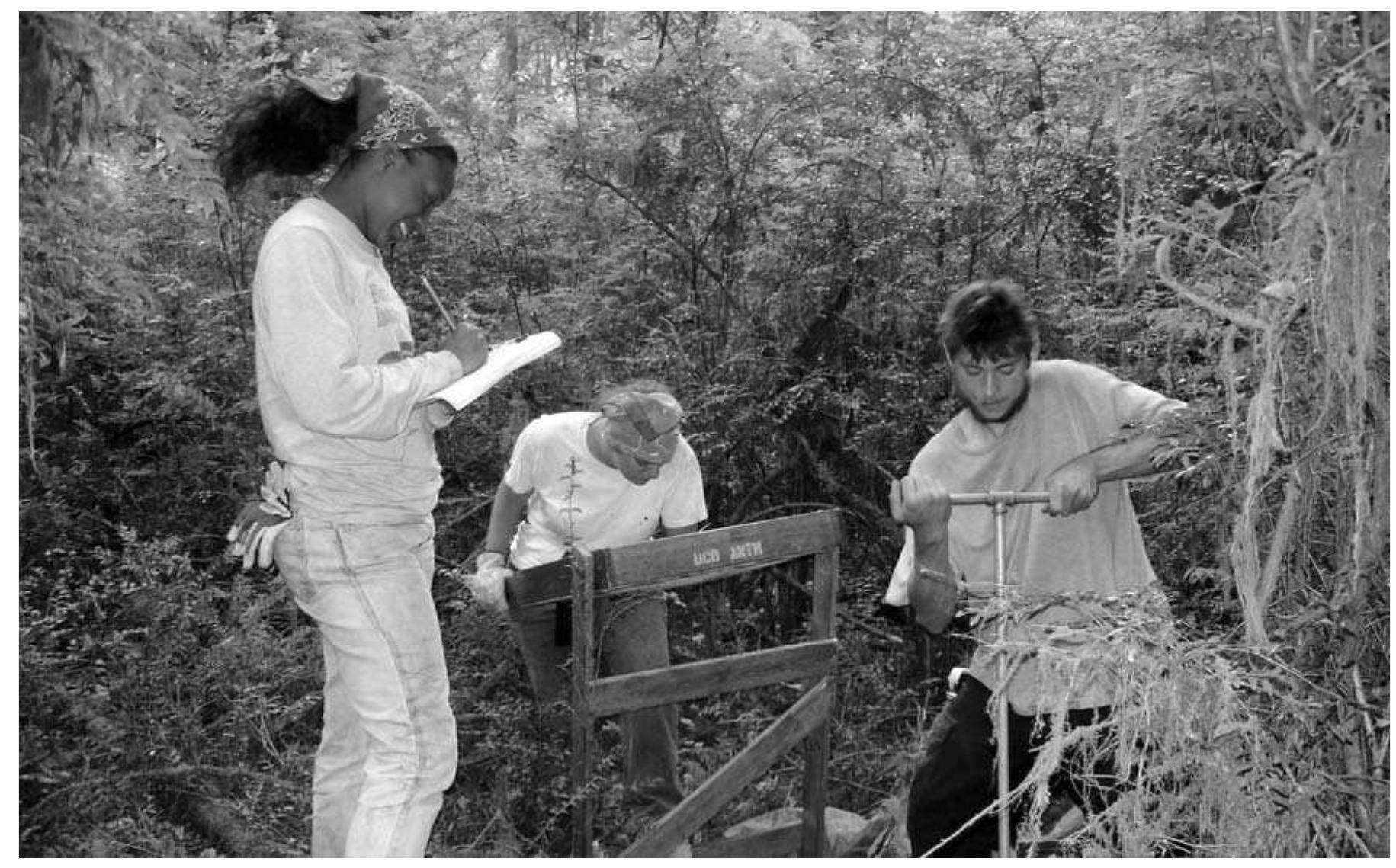 From left to right, recorder, screener, and bucket auger