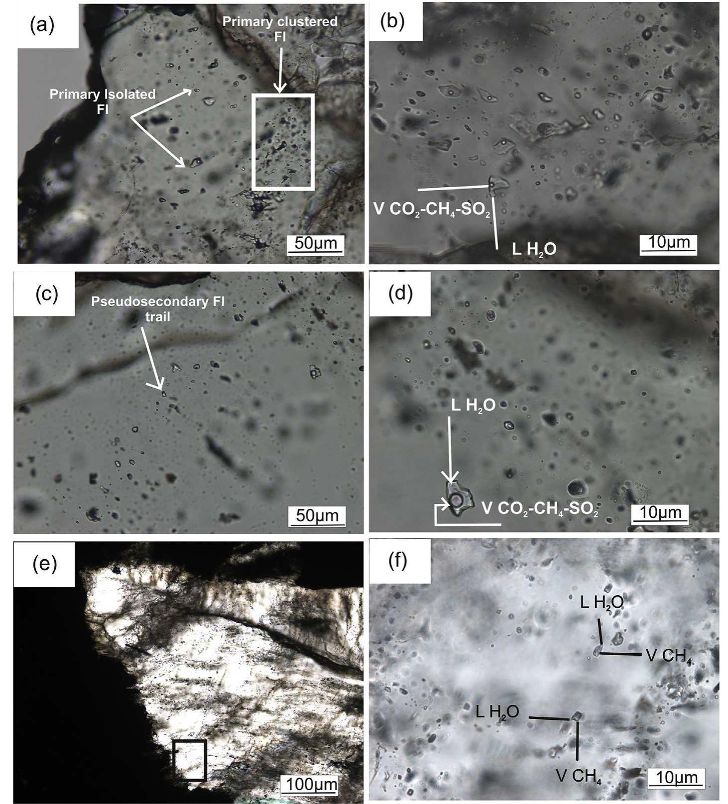 Photomicrograph showing fluid inclusions from the bepkong