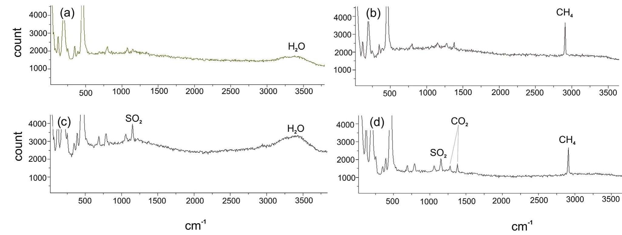 Raman spectra showing the signals of type-1 and type-2 fluid