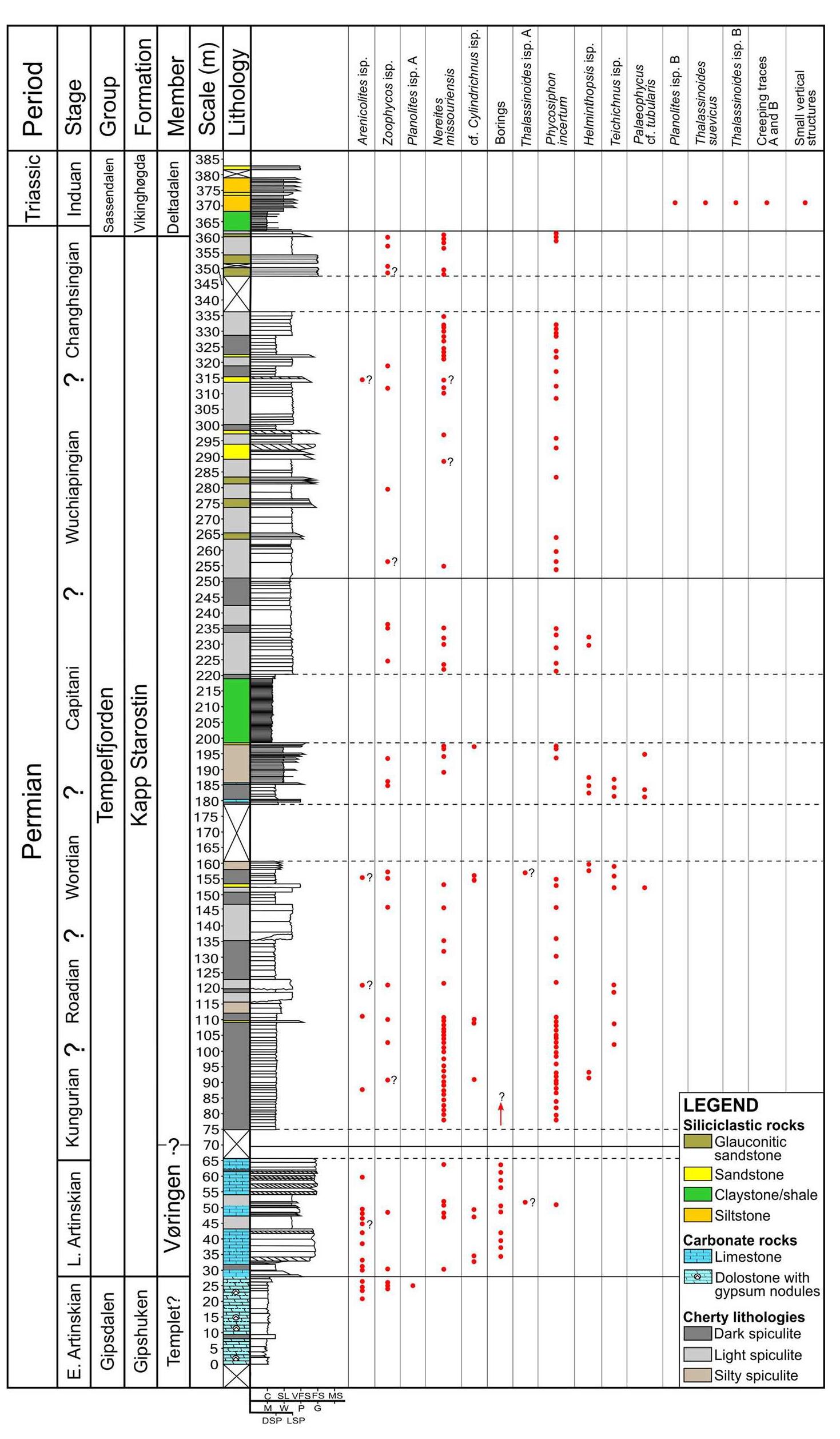 Sedimentological log showing the vertical range of trace