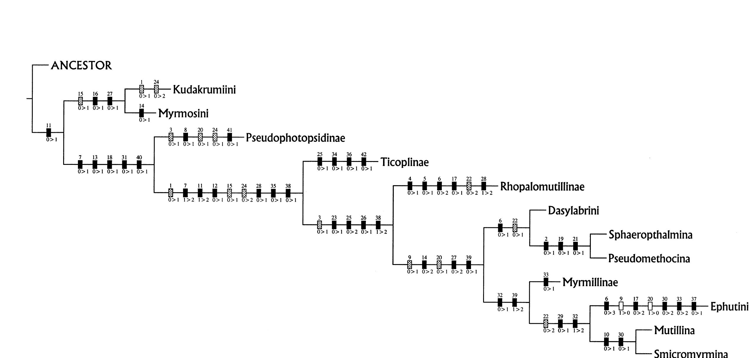 Figure 11 - Phylogeny and evolution of wasps, ants and bees