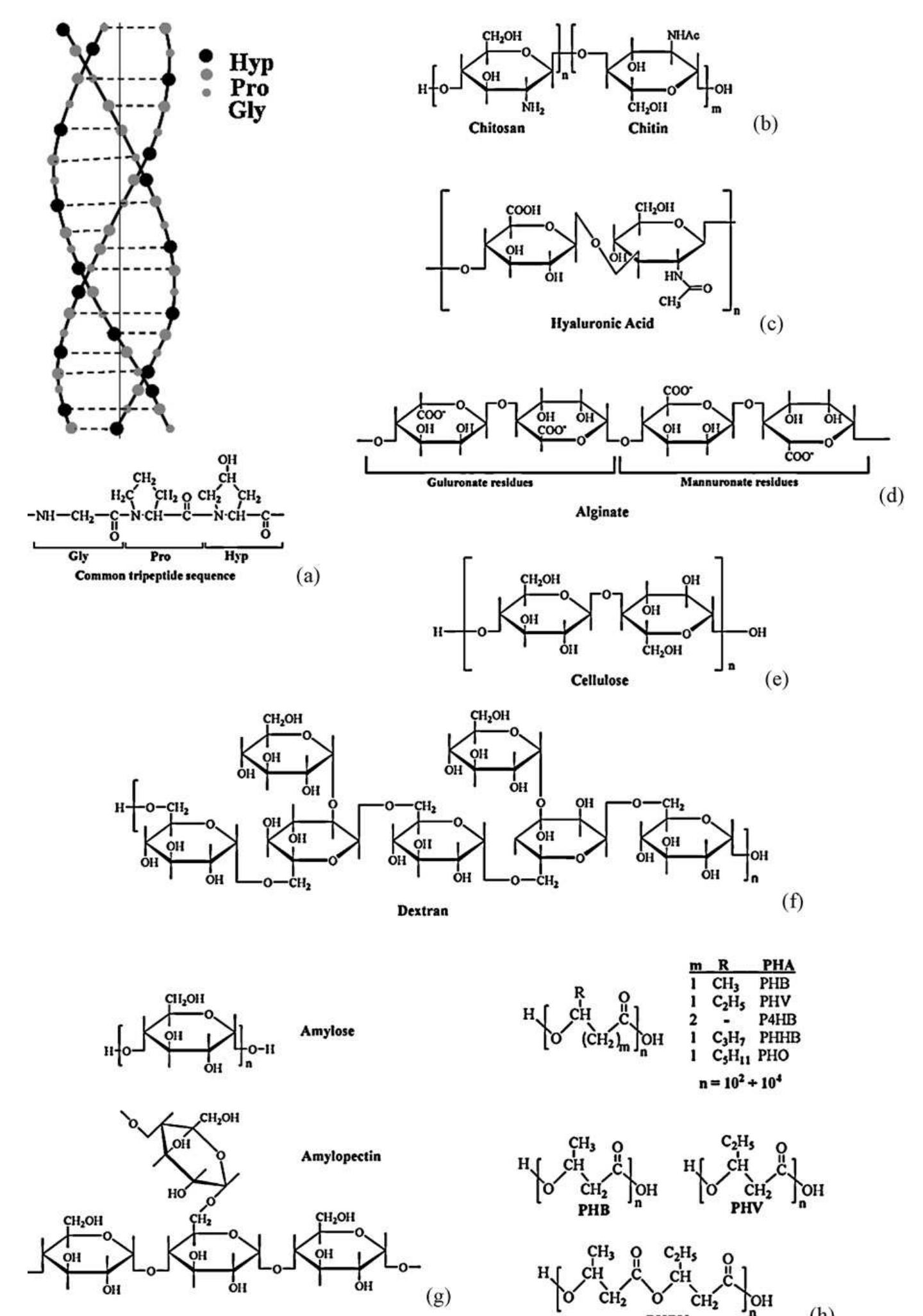(a) triple chain structure of collagen fibrils and chemical