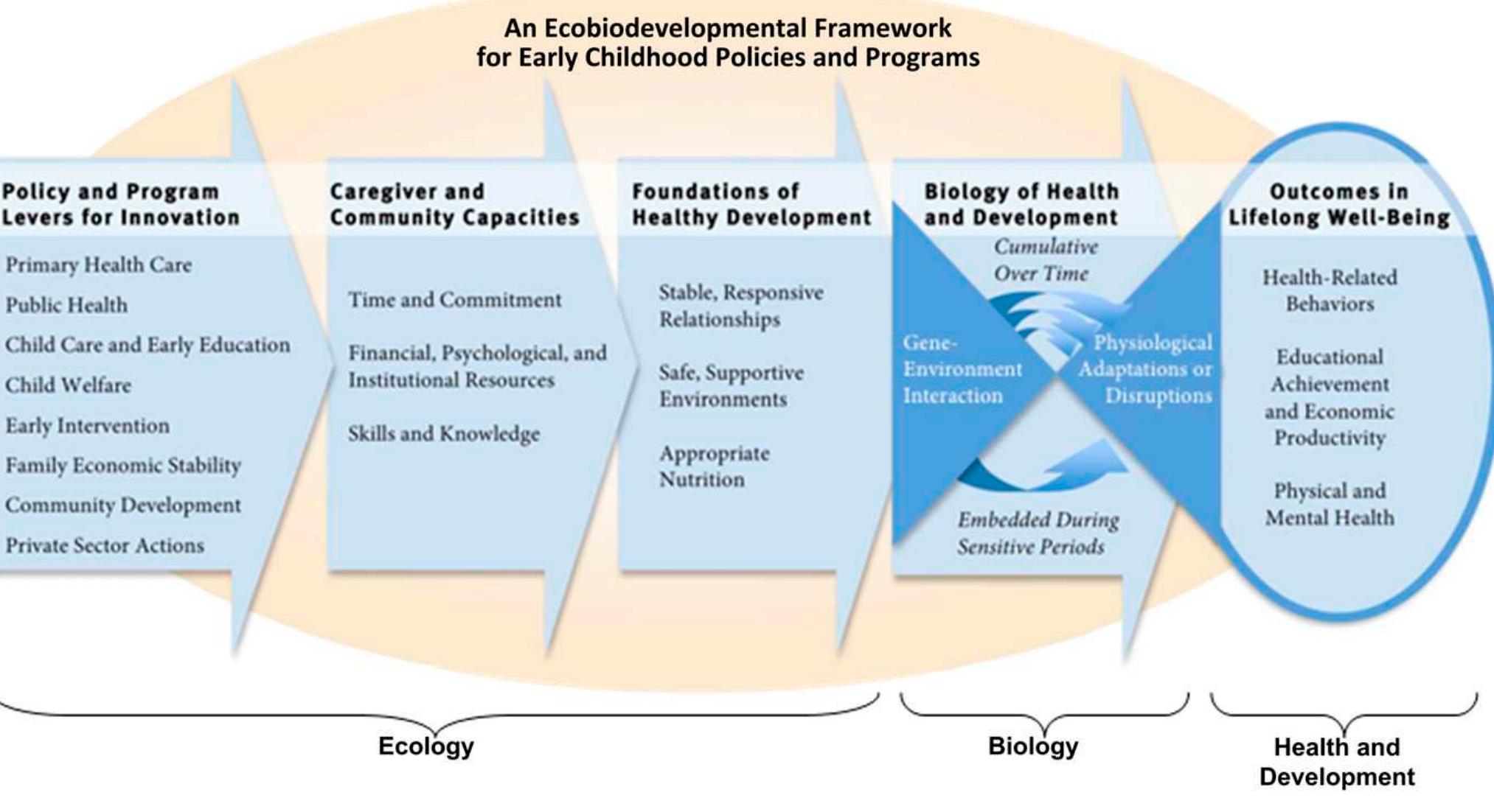 An ecobiodevelopmental framework for early childhood