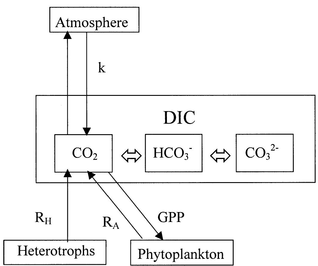 Conceptual diagram of total dic portion of isotope model.