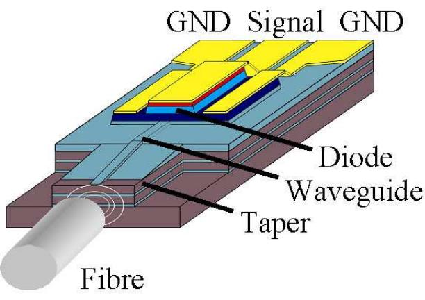 Schematic view of the waveguide integrated photodetector