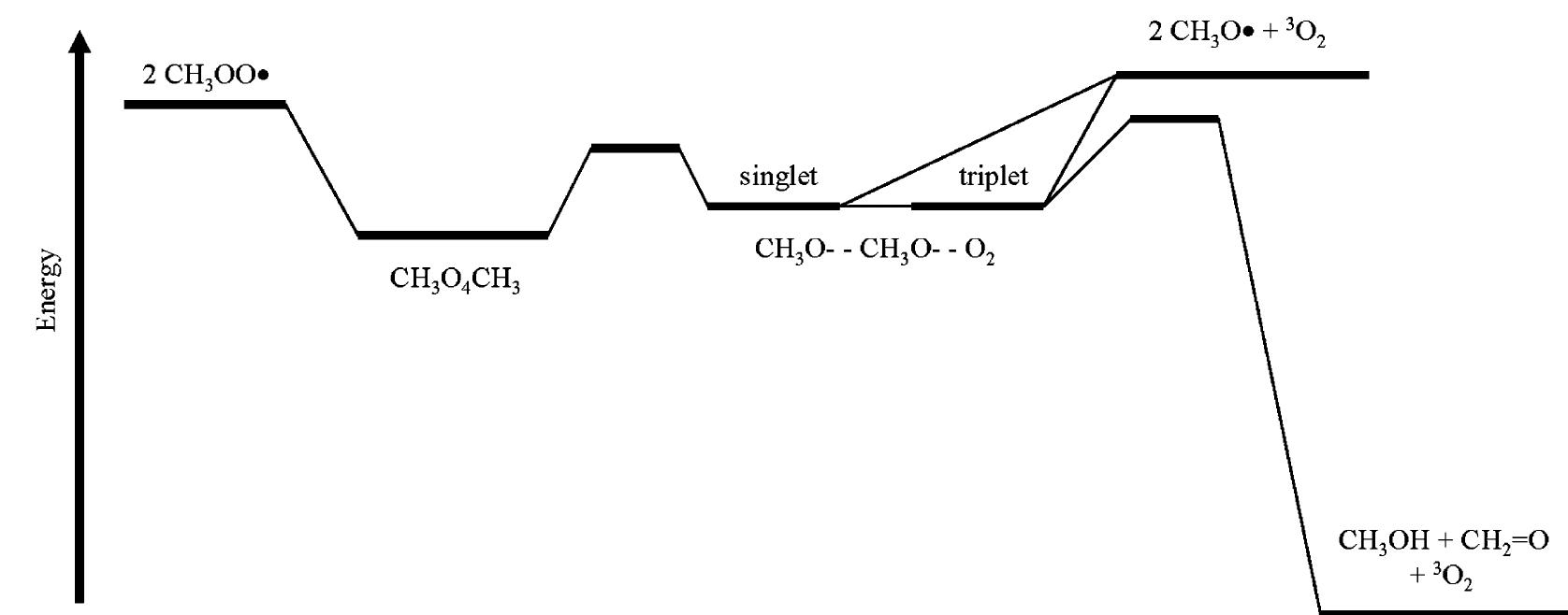 Reaction coordinate diagram for the roo” +roo* system