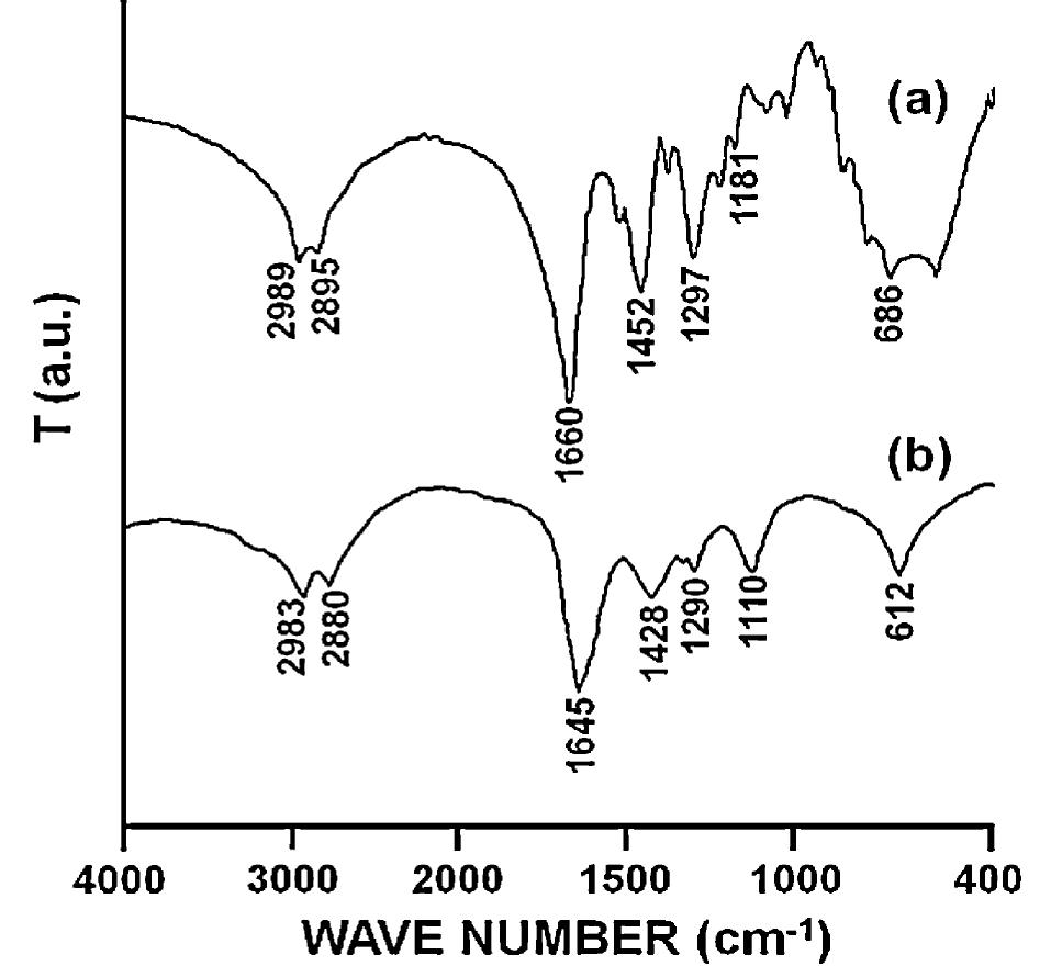 Ftir spectra of (a) pvp and (b) pvp-capped pbs nps.