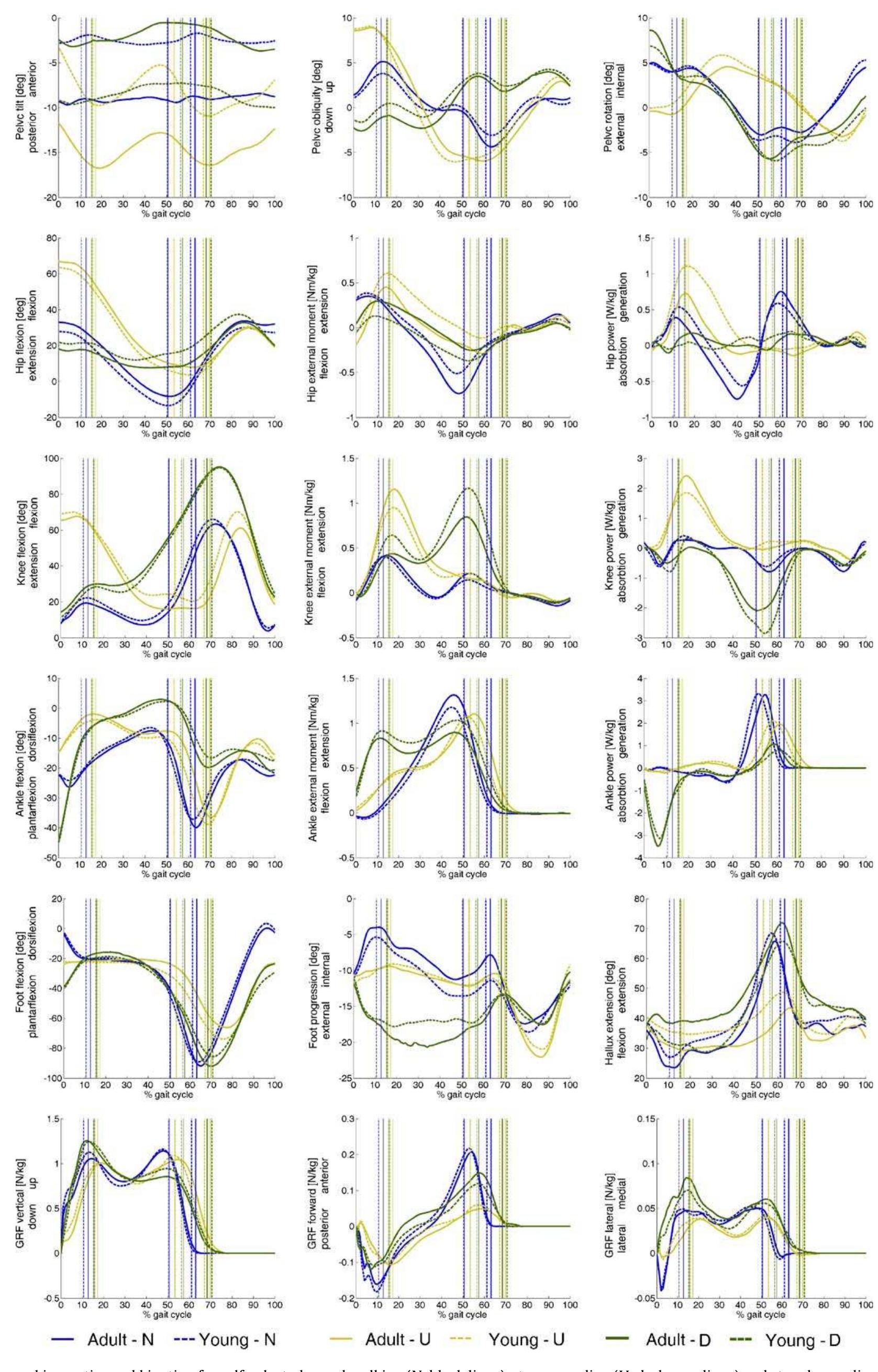 Figure 3 - A multiple-task gait analysis approach: