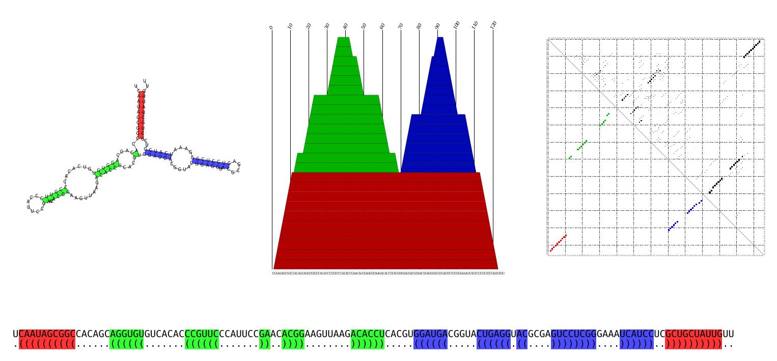 Modeling rna folding figure 1.1. rna secondary structure of