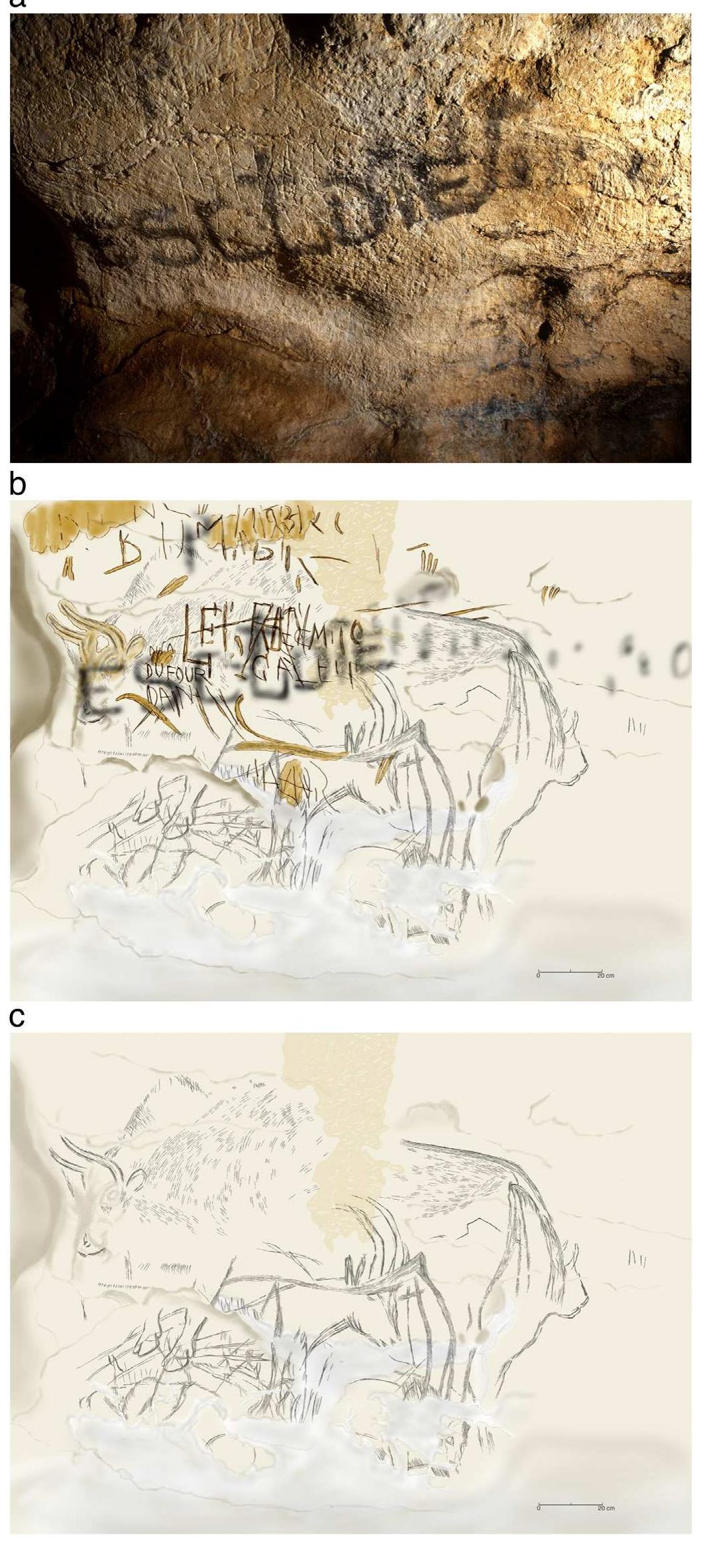 Figure 6 - Reconstructing Paleolithic cave art: The example