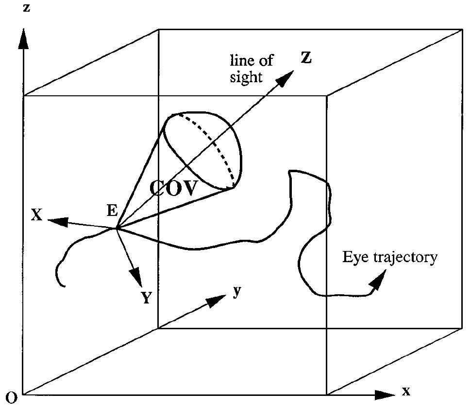 The cone of vision (cov). the observer is moving inside the
