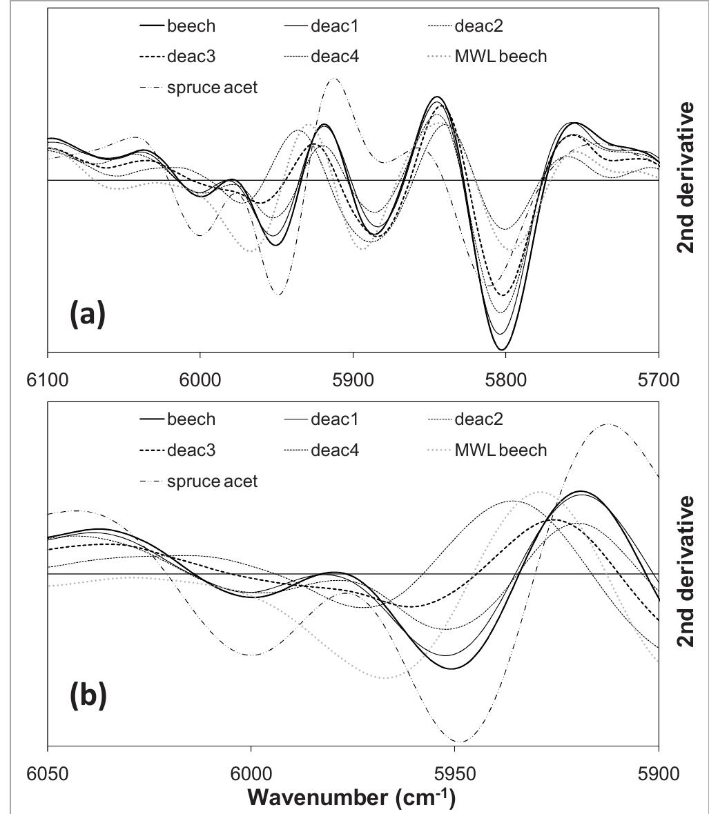 Second derivative of nir spectra of beech wood (fagus