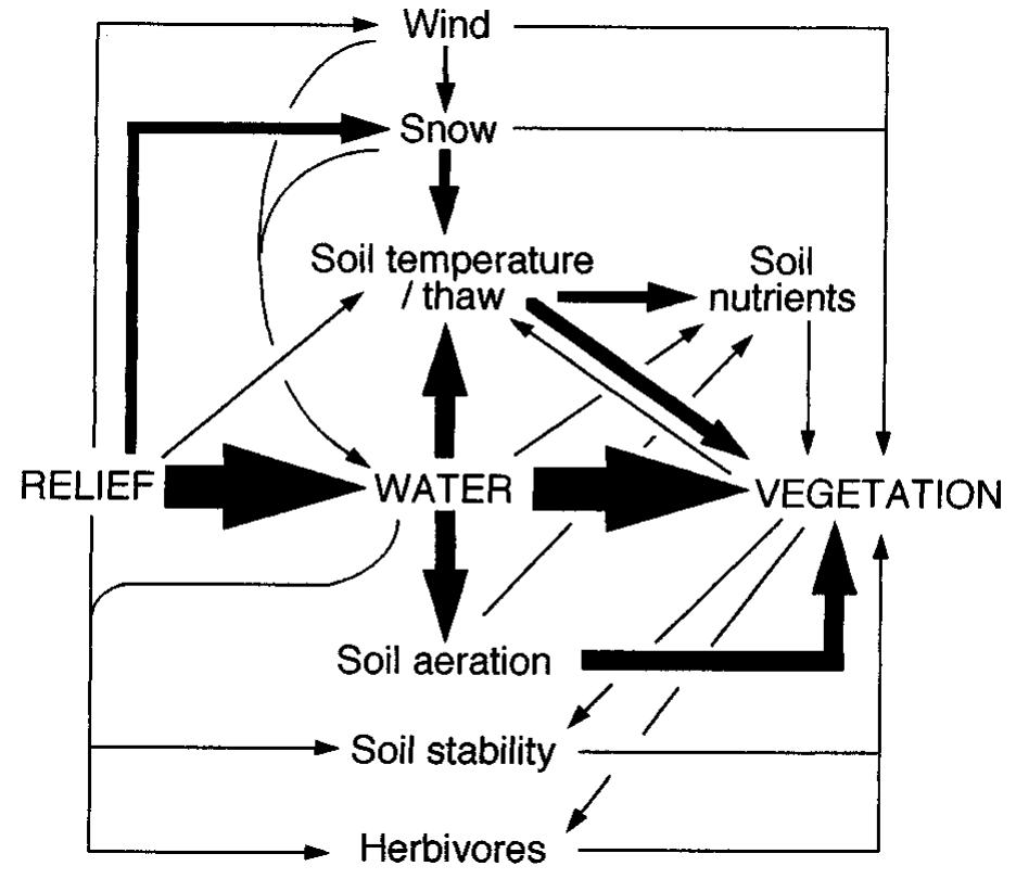 Conceptual model showing water as the principal factor