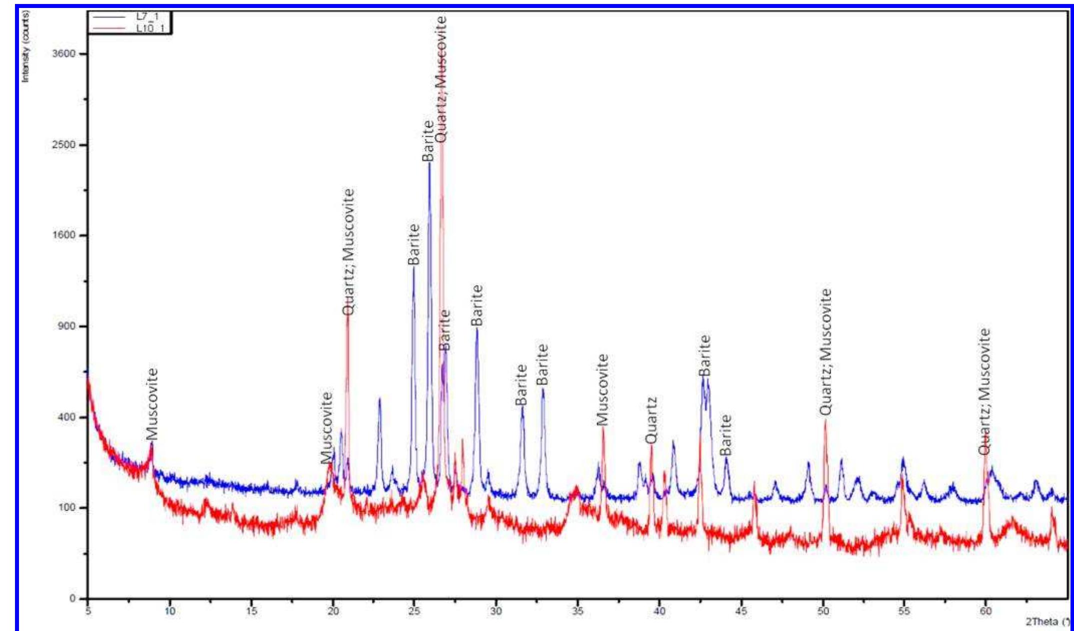 X-ray diffractogram of control sample (l10/1) (red line) and