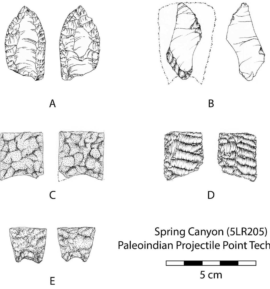 Illustrations of paleoindian projectile points from the