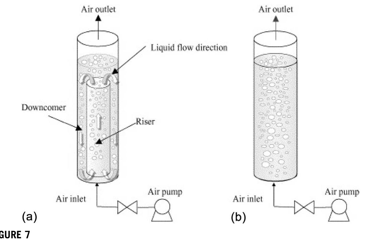Schematic diagram for an airlift photobioreactor (a)