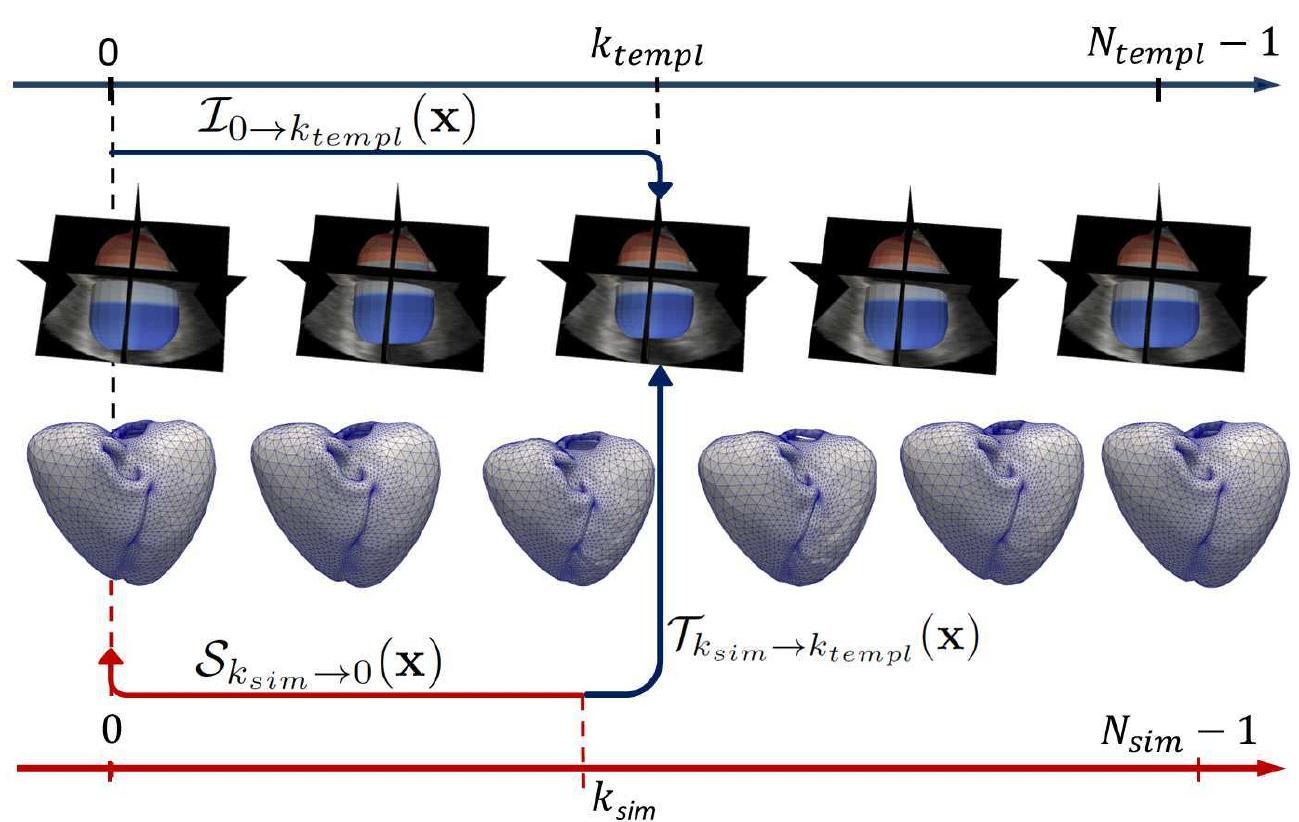 Spatio-temporal mapping used to estimate the echogenicity of