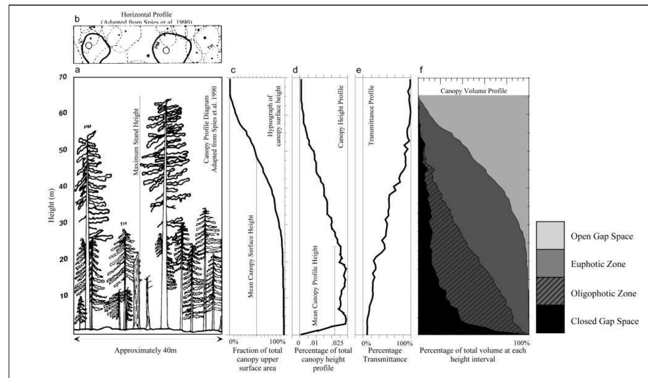 Conceptual comparison of three canopy description methods.