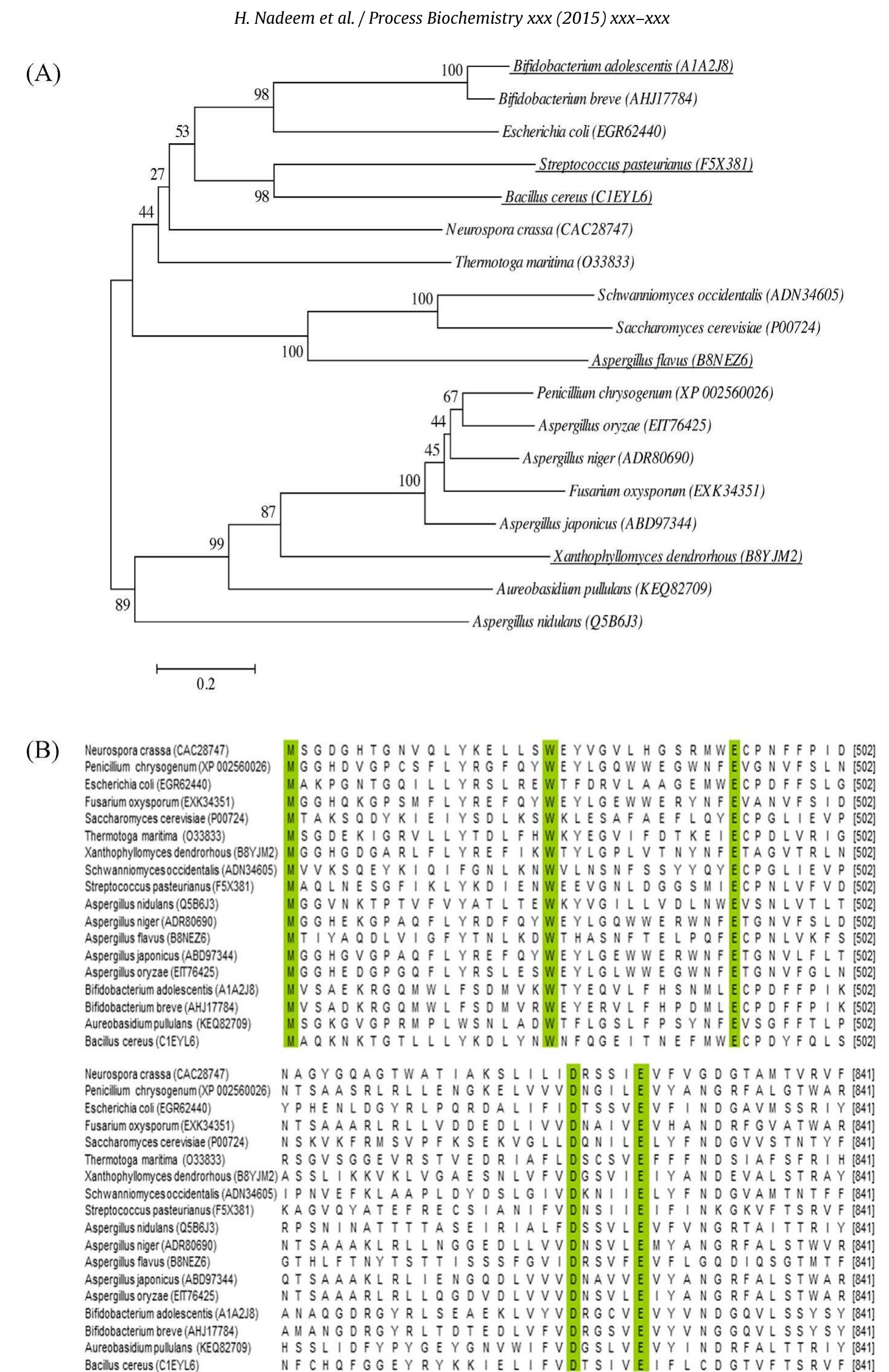 (a) phylogenetic tree based on amino acid sequences of