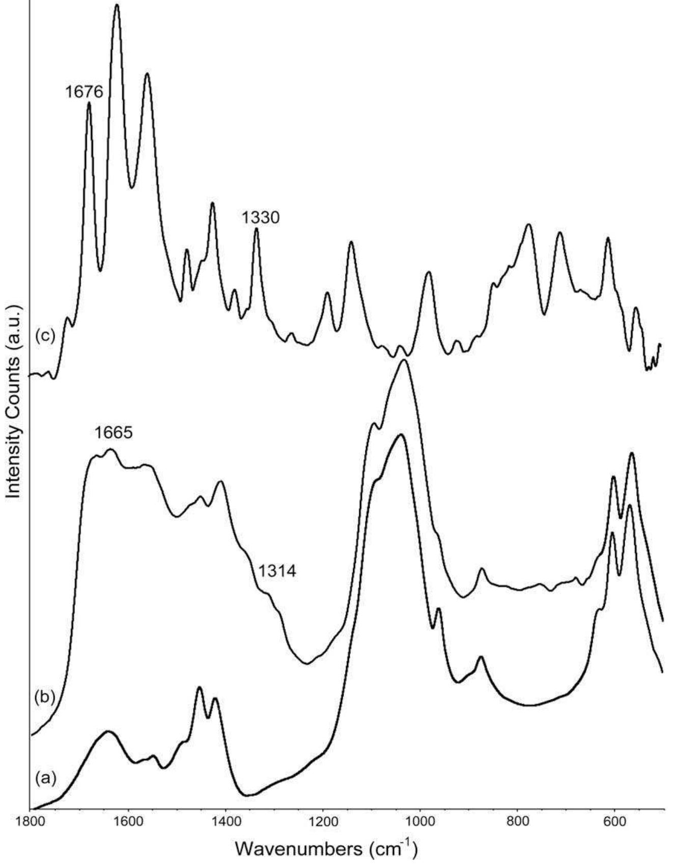 Atr-ir spectra of the cdha synthesized in the absence of