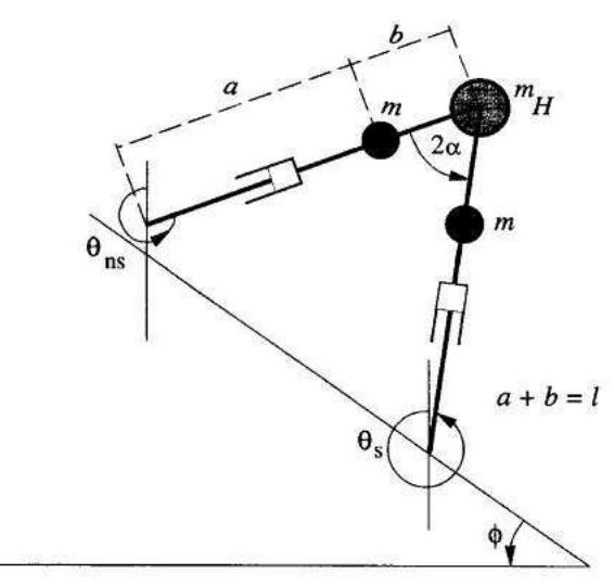 Model of a compass-gait biped on a slope [3, 9] leg moves