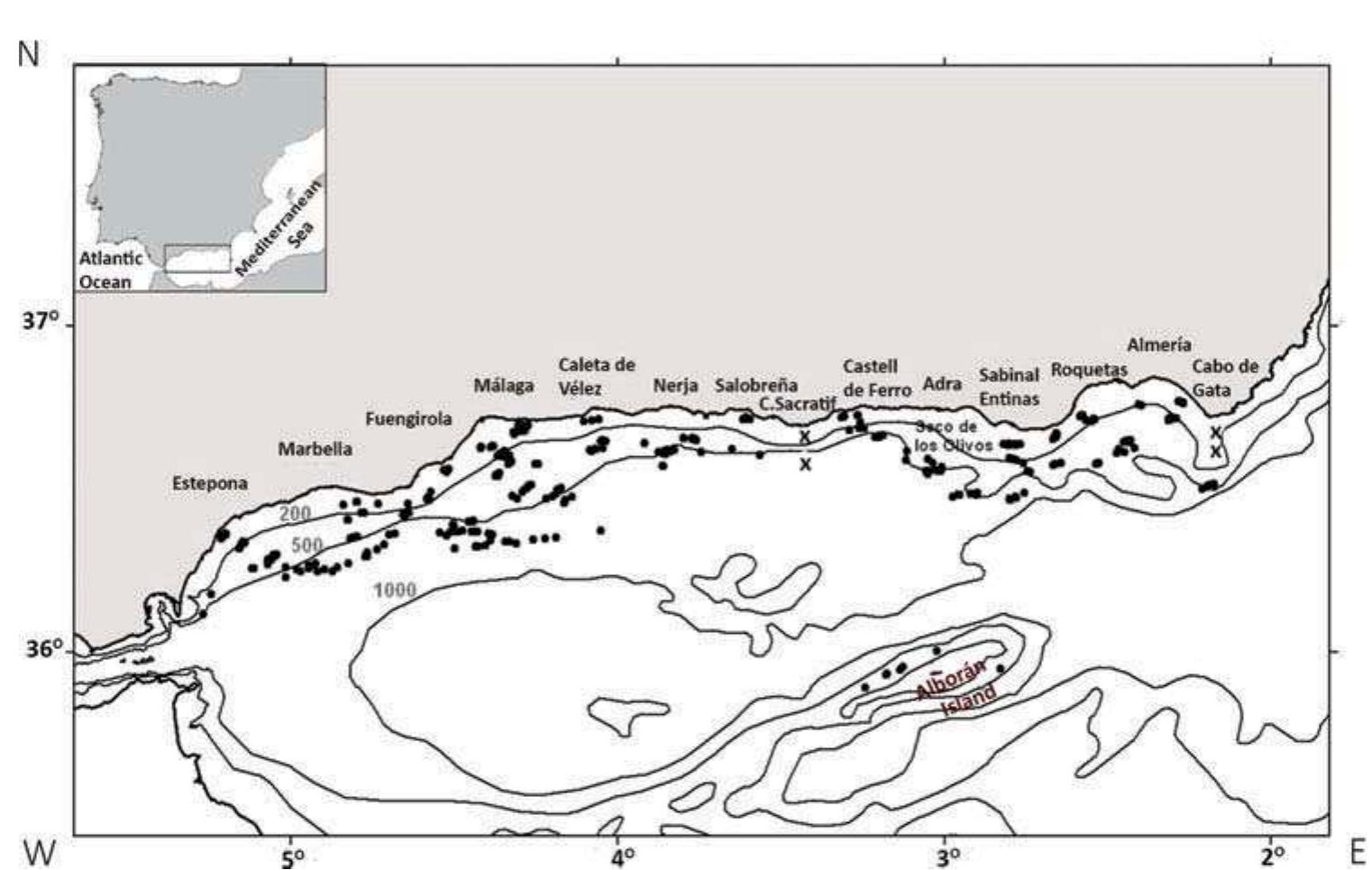 Map of the study area throughout the northern alboran sea