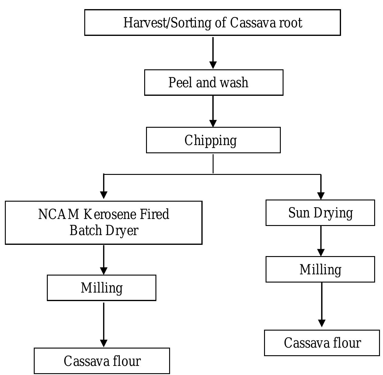 Process flowchart for the production of the cassava flour