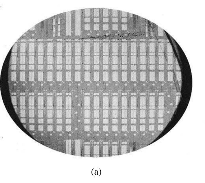 Photo of wafer and sem of mounted single-chip transmitter.