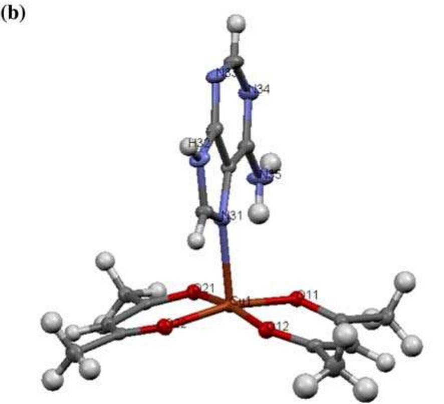 Basic structural unit for [cu(acac)2(adenine)] occurring in