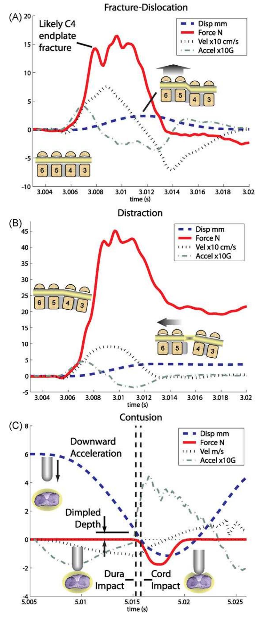 Representative curves of mechanical parameters