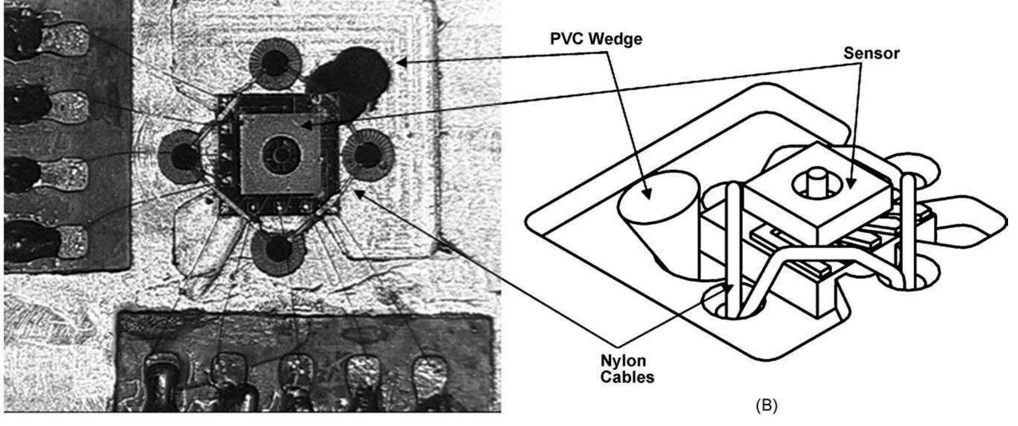 Top view (a) and schematic lateral view (b) of the sensor