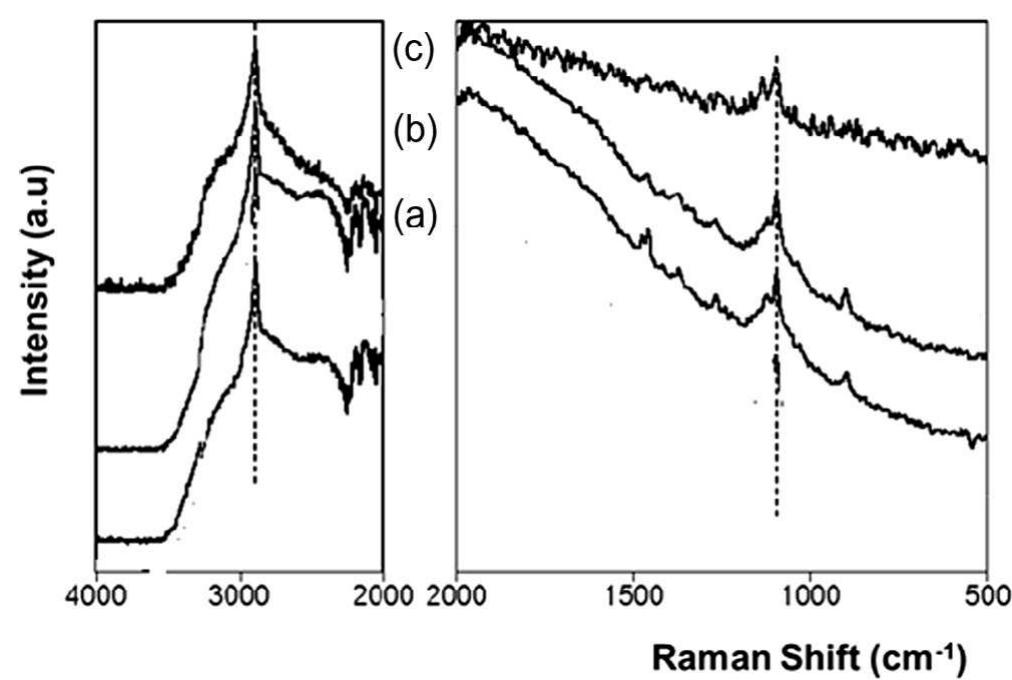 1064nm ft-raman spectra of membranes embedded of different