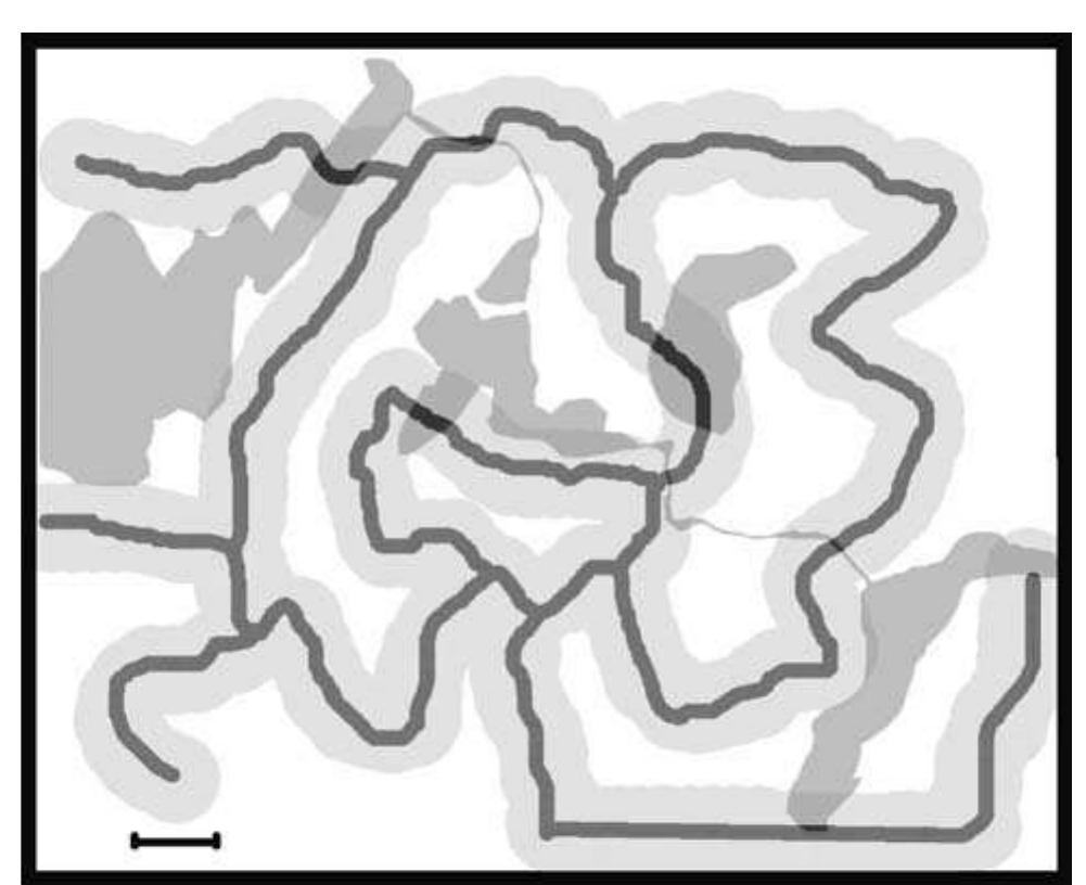 Map of the masoala rainforest exhibit showing the transect