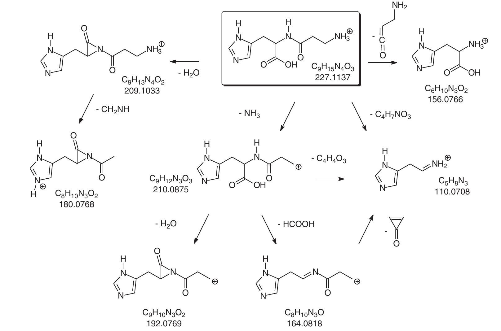 Carnosine ms? and ms? fragmentation pathway. multistage