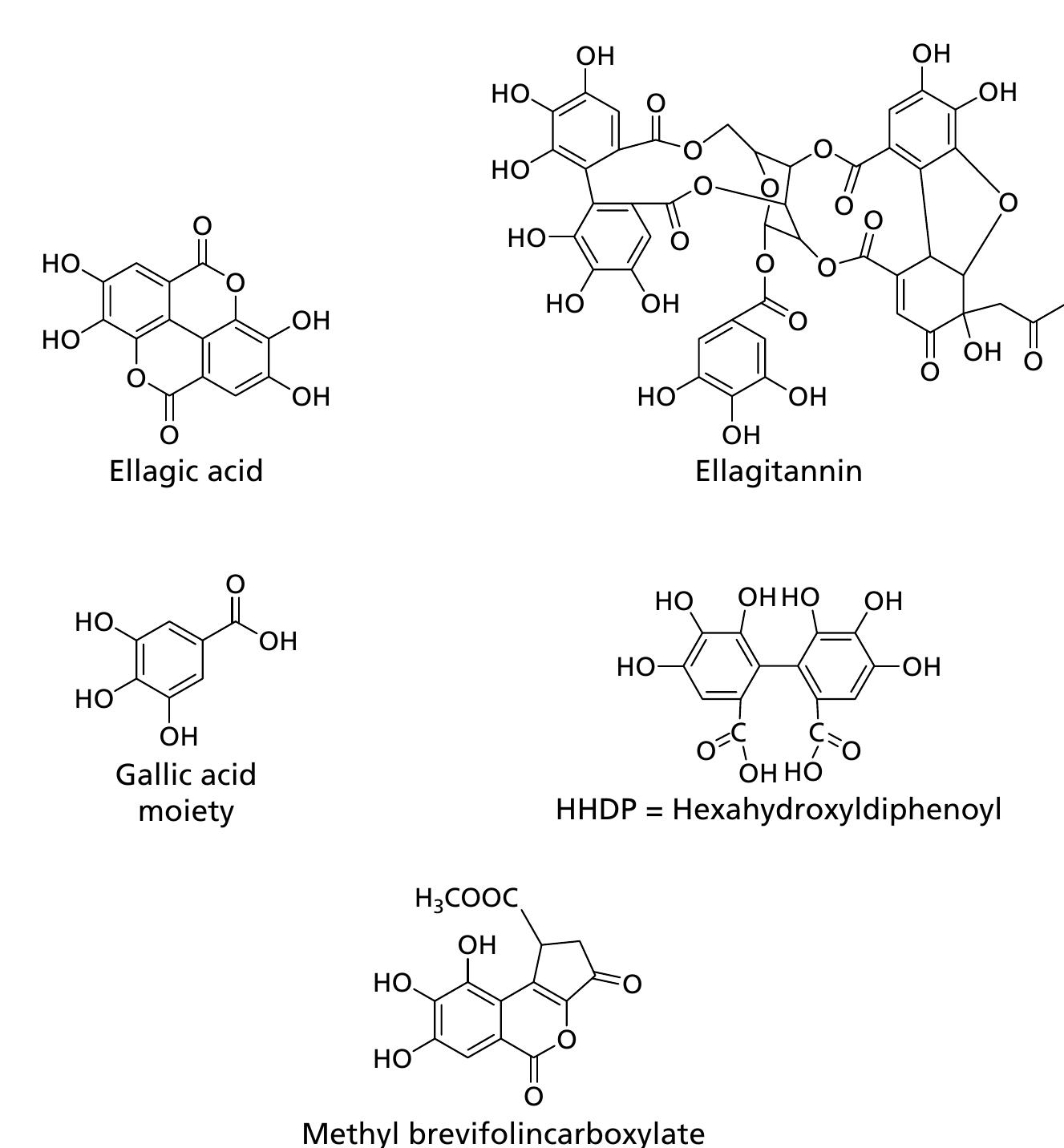 _ chemical structures of ellagic acid, gallic acid,